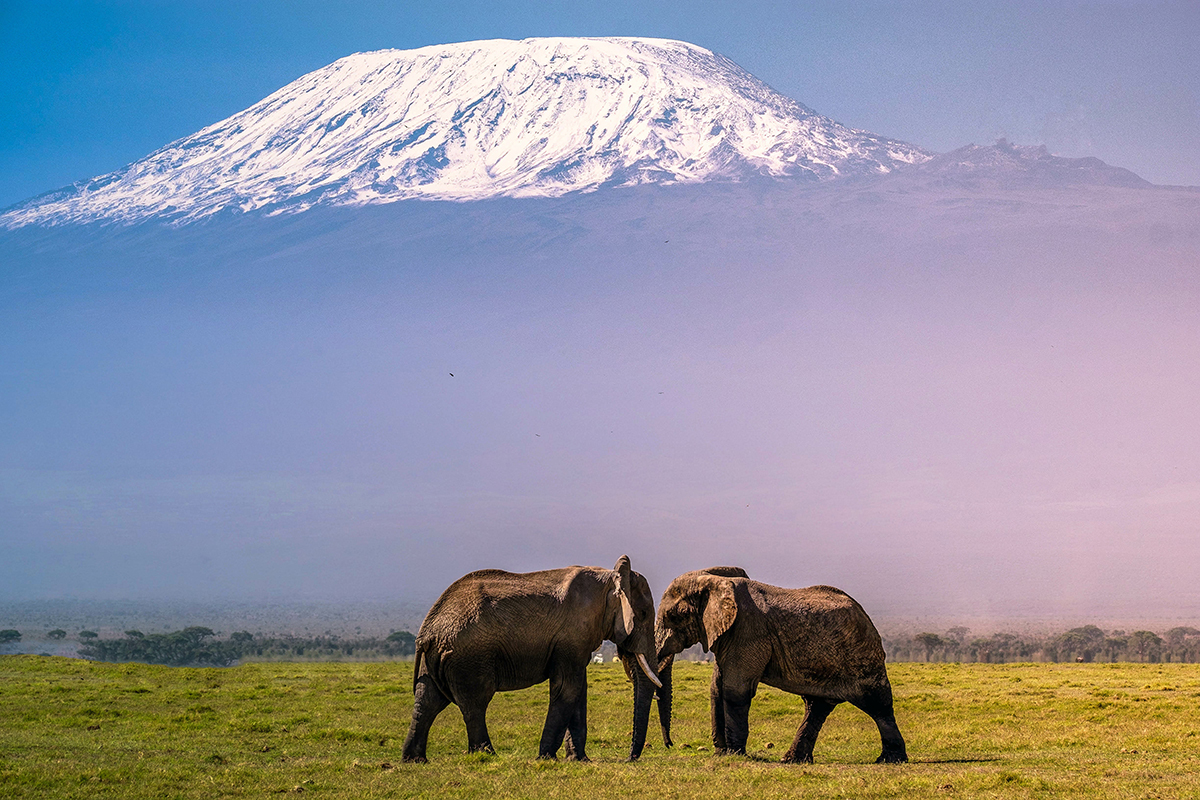 Kenya ABA – Inside Behavior Analysis